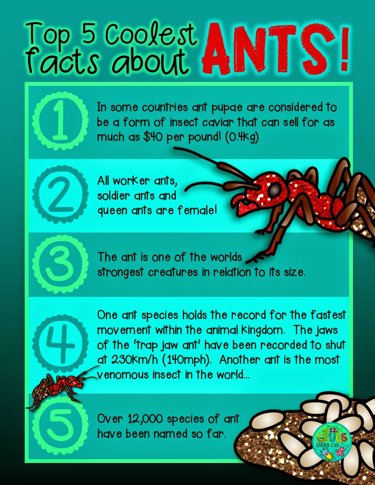Top 5 Coolest Facts About ANTS 