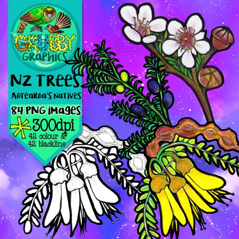 New Zealand Trees Clip Art