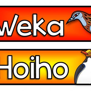 New Zealand Native Bird Labels {Editable}