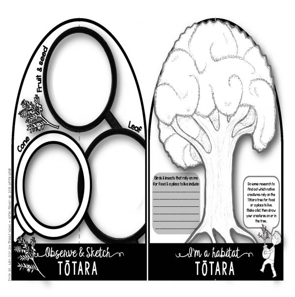 Totara {New Zealand Trees Make & Do Activity Pack}