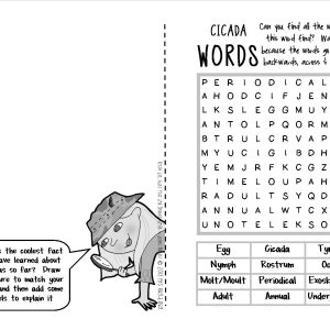 Cicada Celebration! {An activity booklet about the cicada life cycle}
