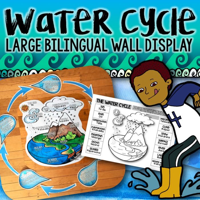Water Cycle Wall Display {New Zealand)
