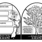 Karamū {New Zealand Trees Make & Do Activity Pack}