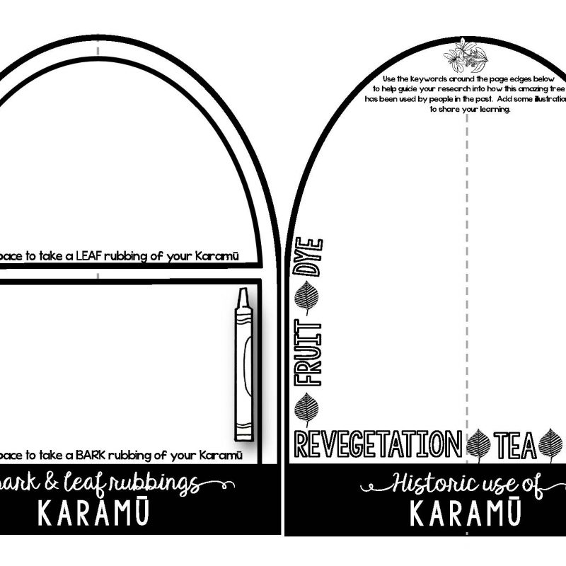 Karamū {New Zealand Trees Make & Do Activity Pack}