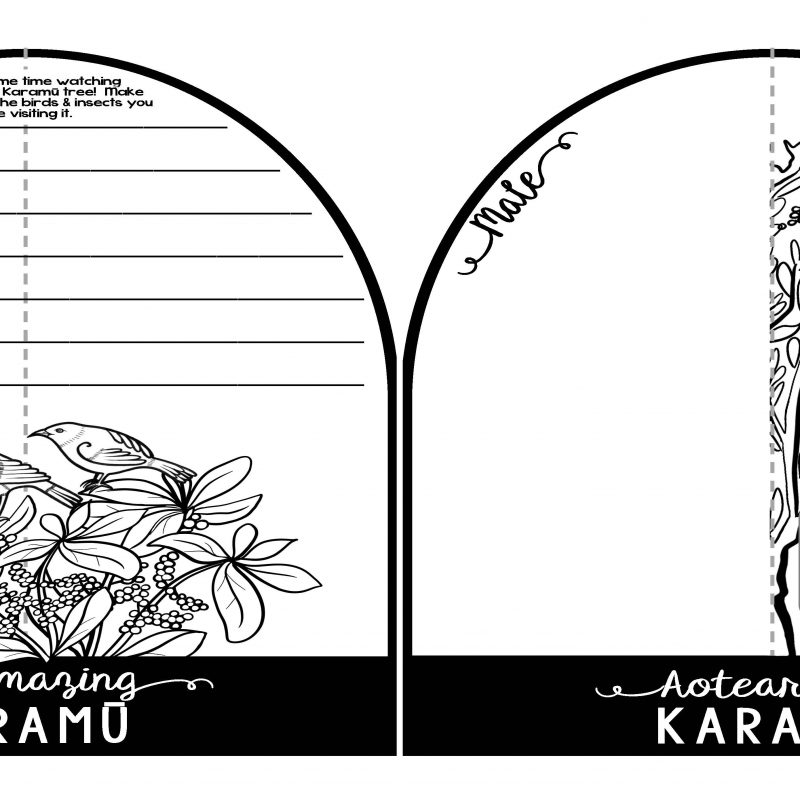 Karamū {New Zealand Trees Make & Do Activity Pack}
