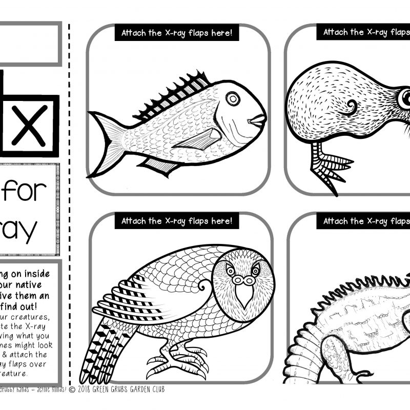 X = X-ray {Kiwiana Themed ‘Make & Take’ Alphabet Set}