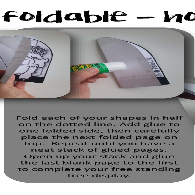 Matipo Māpou {New Zealand Trees Make & Do Activity Pack}