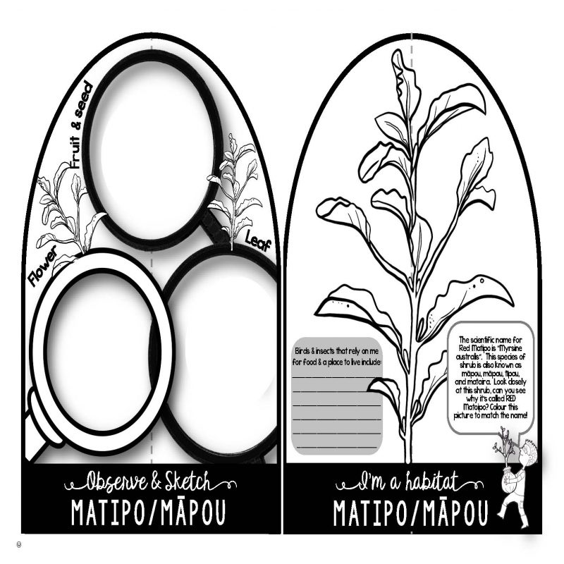 Matipo Māpou {New Zealand Trees Make & Do Activity Pack}