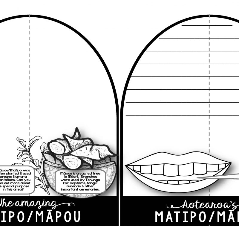 Matipo Māpou {New Zealand Trees Make & Do Activity Pack}