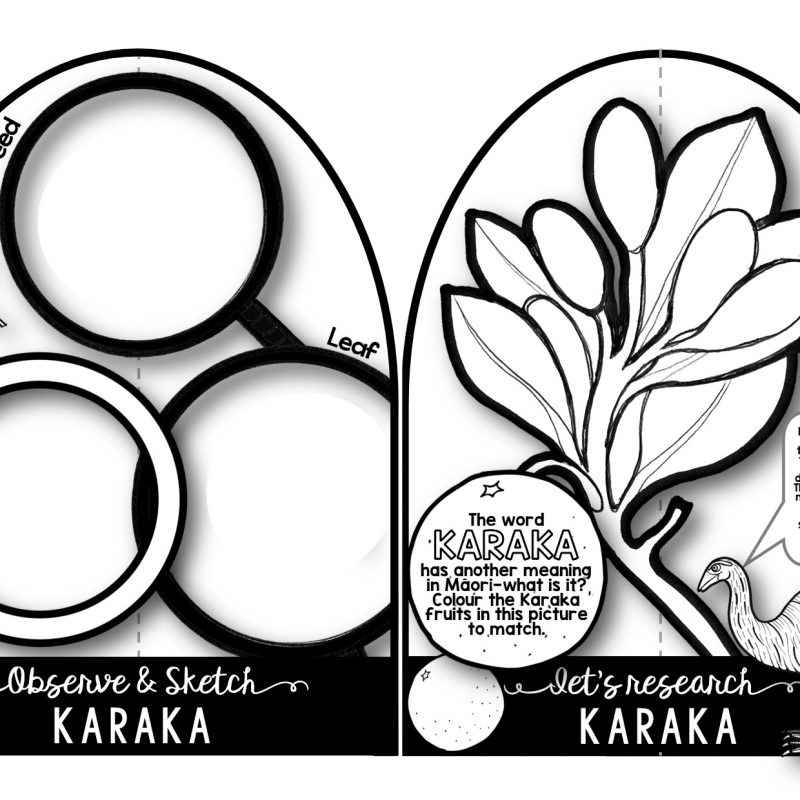 Karaka {New Zealand Trees Make & Do Activity Pack}